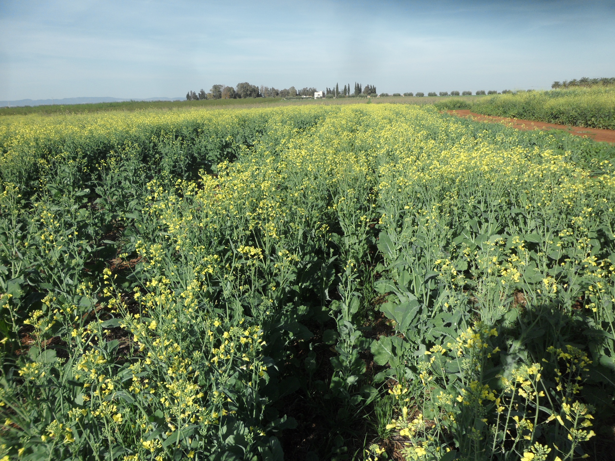 3rd Africa Congress on Conservation Agriculture